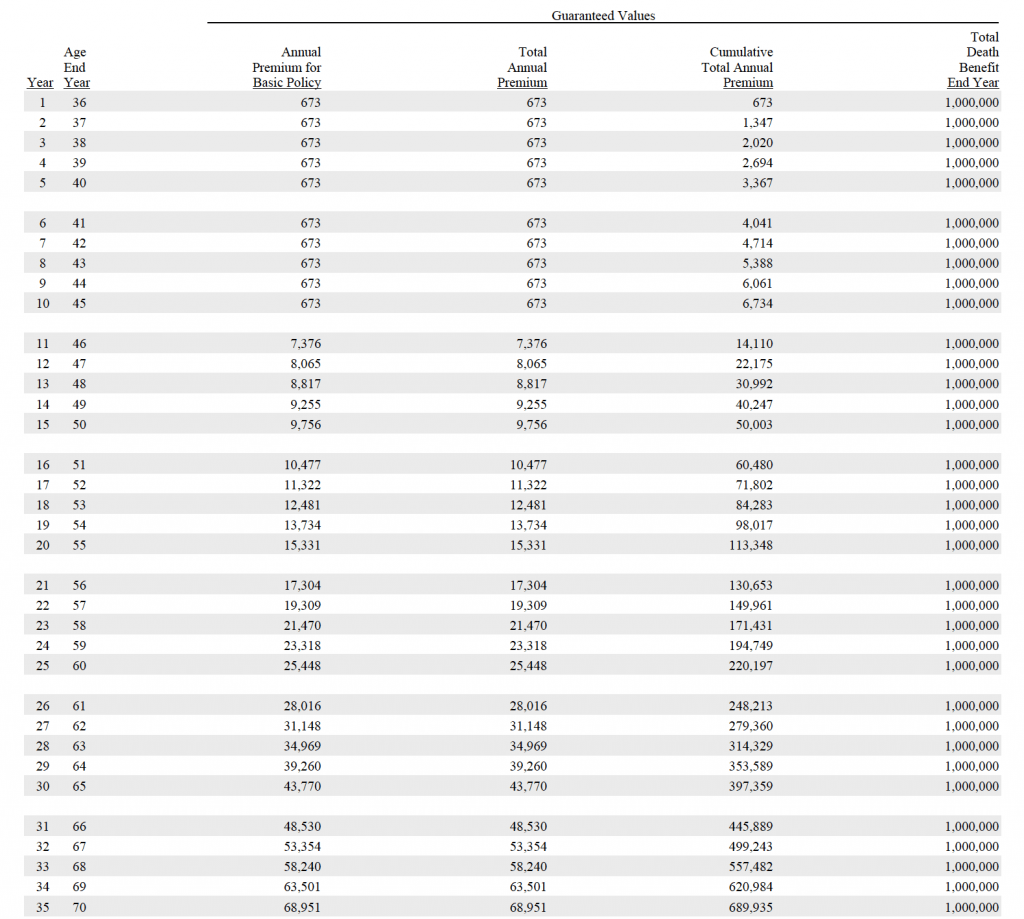 Term Life Insurance: Everything You Need To Know