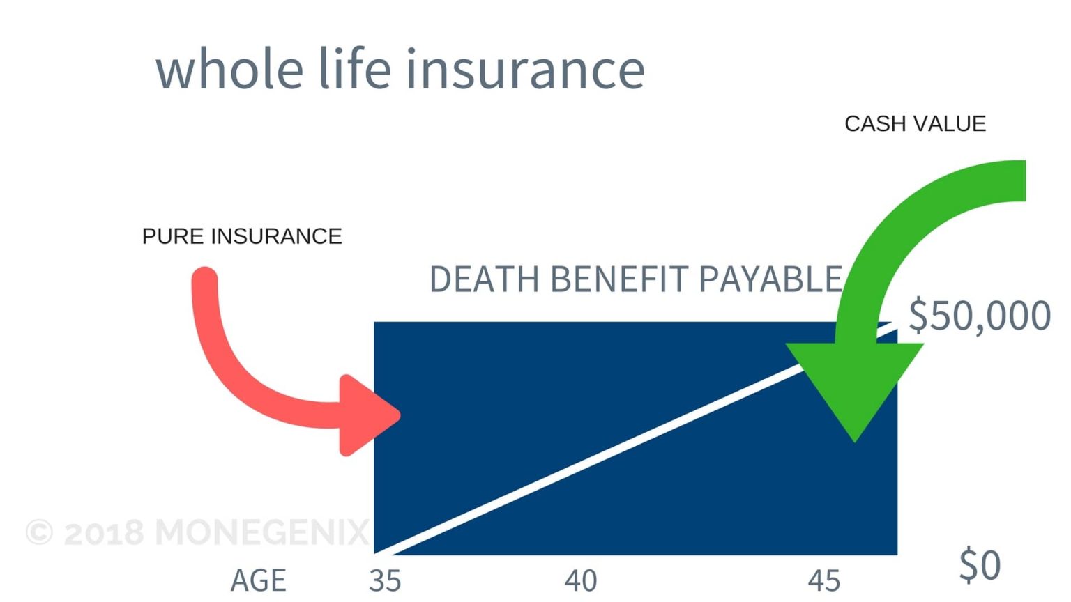 Whole Life Insurance: Everything You Need To Know